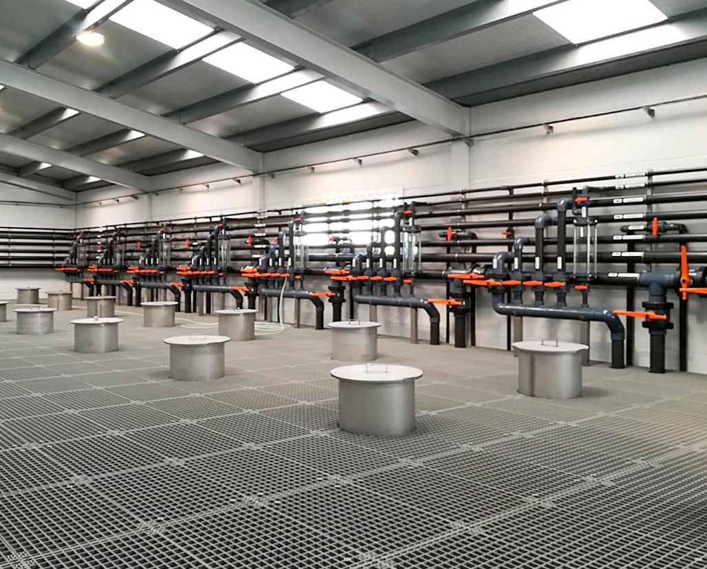 NEWS Success olive treatment plant Hidroten